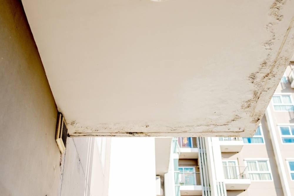 Florida Condo Roof Leaks: Who’s Responsible?